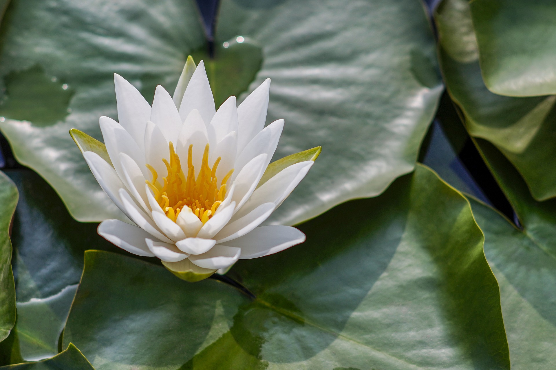 ¿Qué es la meditación y cuáles son sus beneficios? - Terapia Gestalt Alcalá